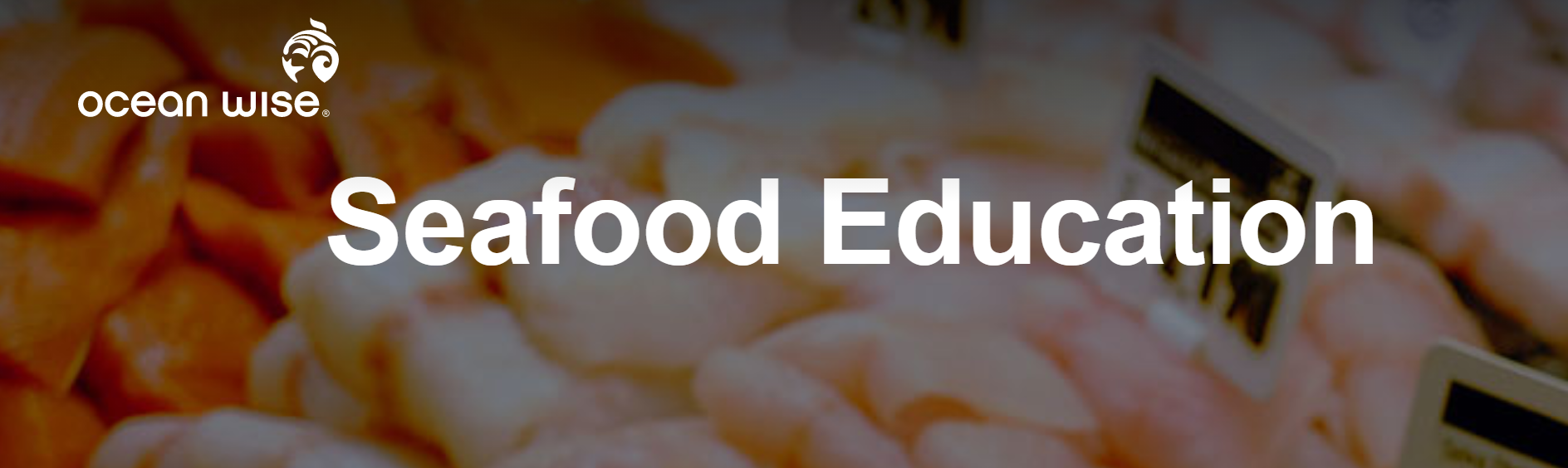 Sustainable Seafood Education Kit